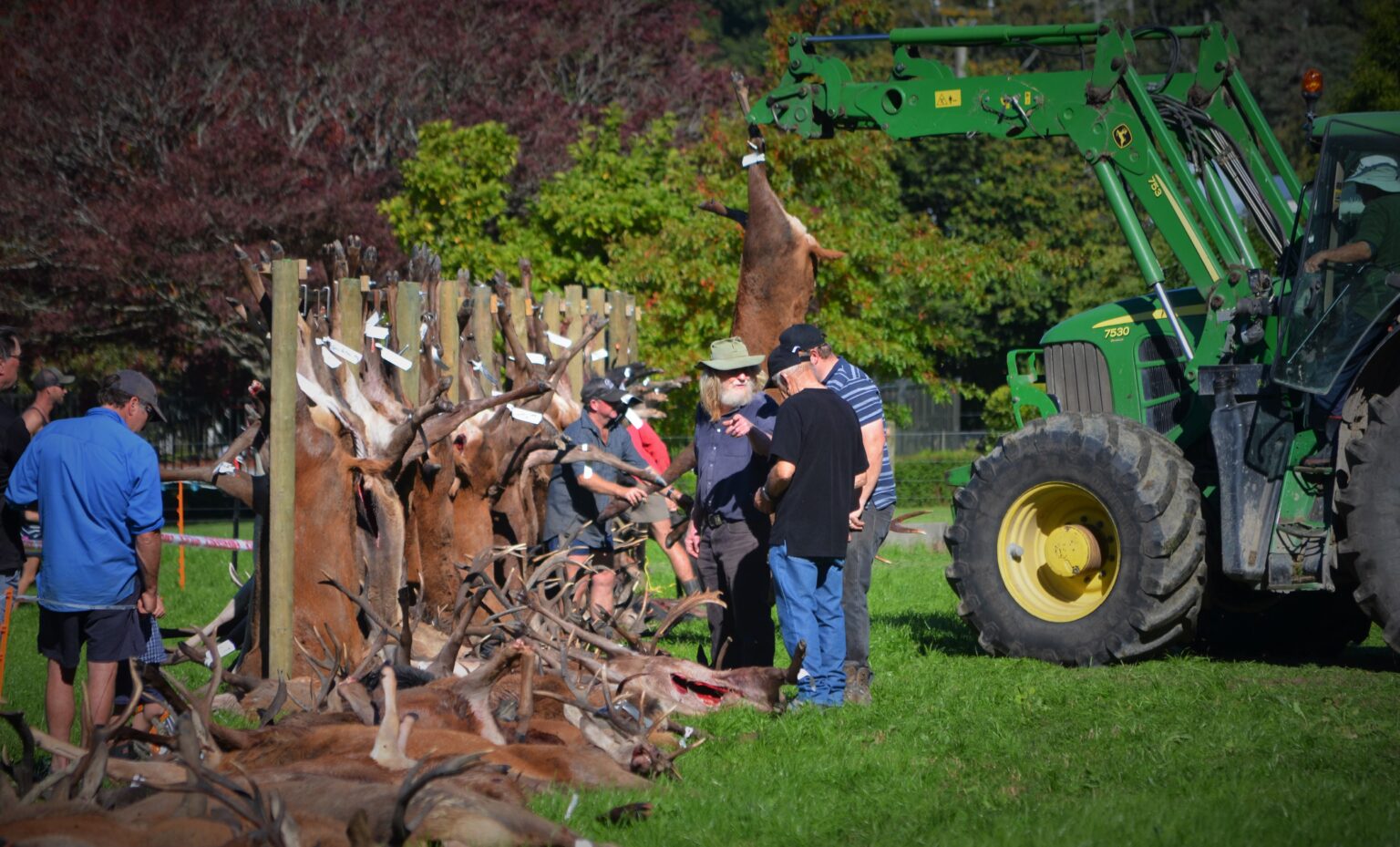 Kaikōura Pig & Stag Hunt 2026 | Official Hunting Competition